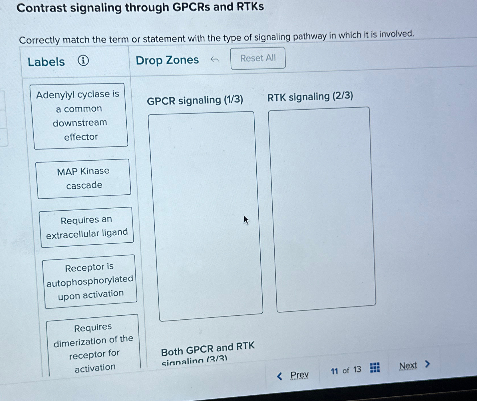 Solved Contrast signaling through GPCRs and RTKsCorrectly | Chegg.com