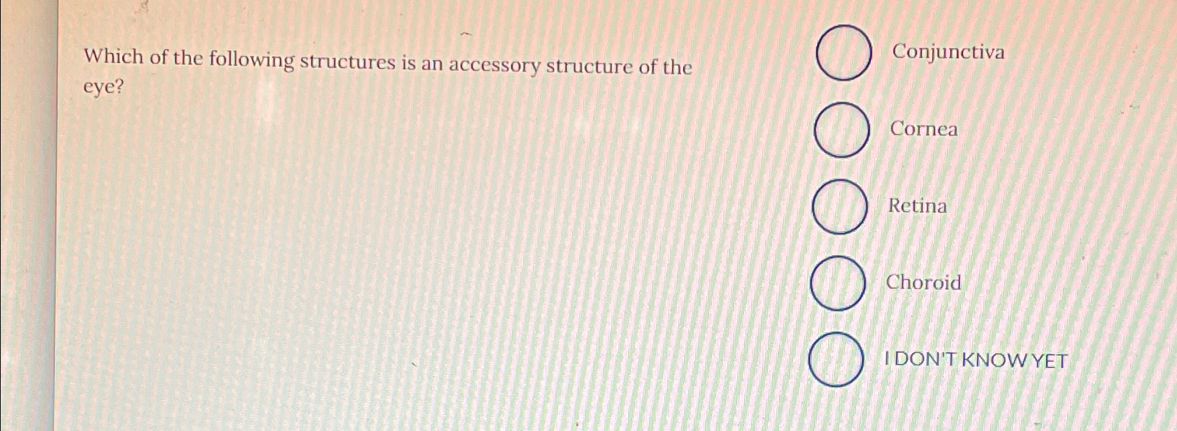 Solved Which of the following structures is an accessory | Chegg.com