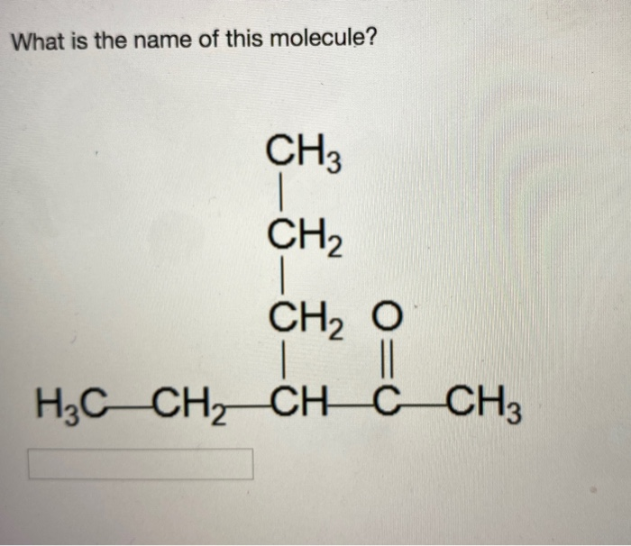 Solved What is the name of this molecule? CH3 CH2 CH2 O | Chegg.com