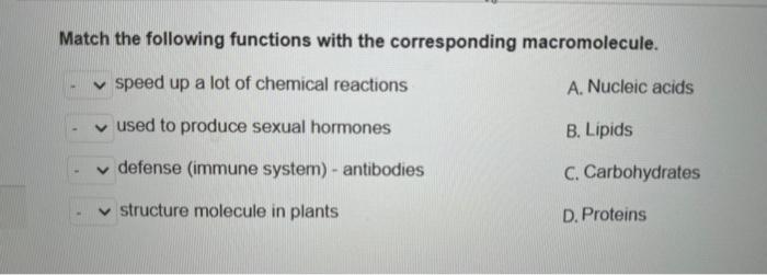 Match the following functions with the corresponding | Chegg.com