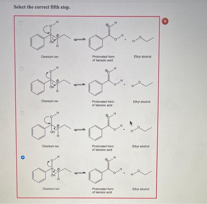 Solved Select the correct fifth step. Oxonium ion Protonated | Chegg.com