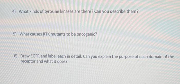 Solved 4) What kinds of tyrosine kinases are there? Can you | Chegg.com