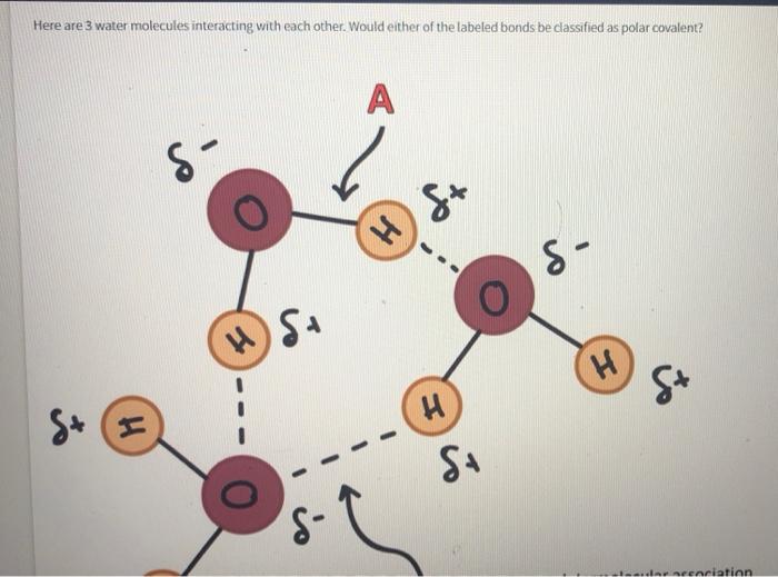 Solved Here are 3 water molecules interacting with each | Chegg.com