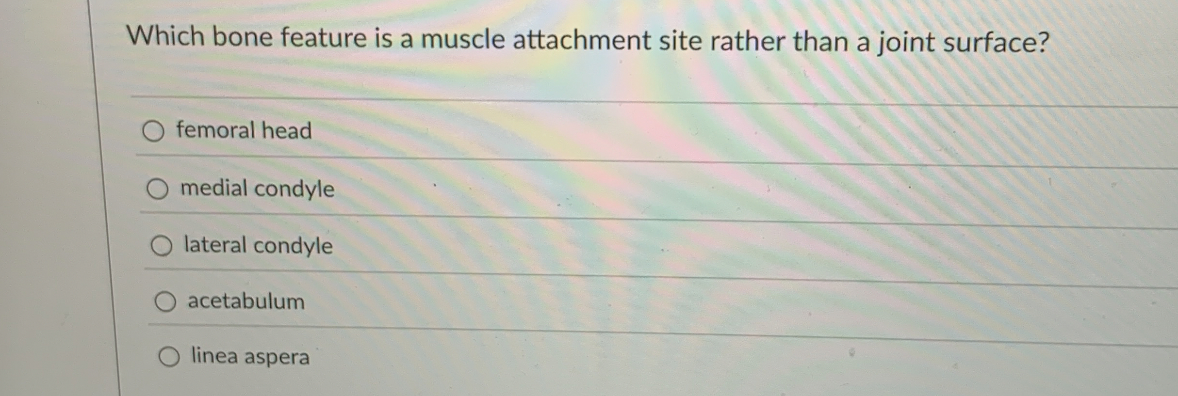 Solved Which bone feature is a muscle attachment site rather | Chegg.com