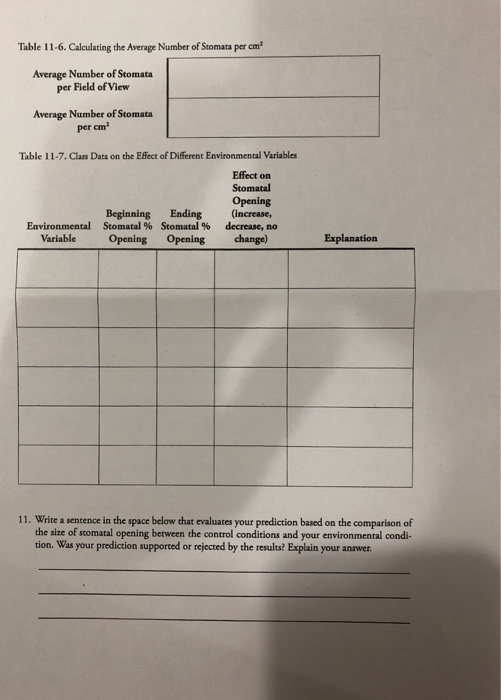 Solved Table 11-6. Calculating the Average Number of Stomata | Chegg.com