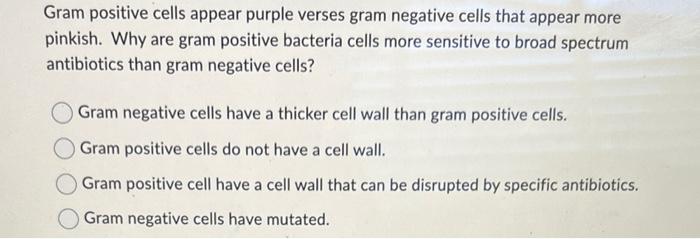 Solved Gram positive cells appear purple verses gram | Chegg.com