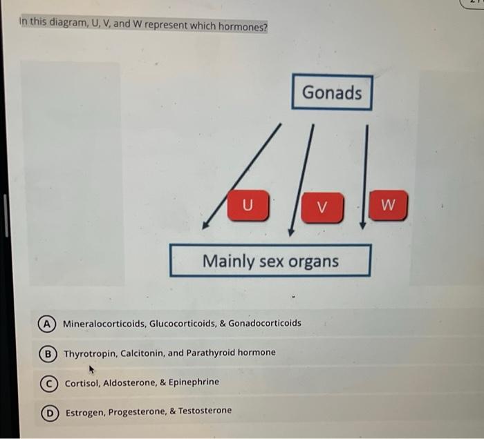 Solved In this diagram, U, V, and W represent which | Chegg.com