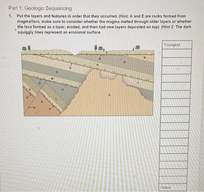 Solved Part 1: Geologic Sequencing 1. Put the layers and | Chegg.com