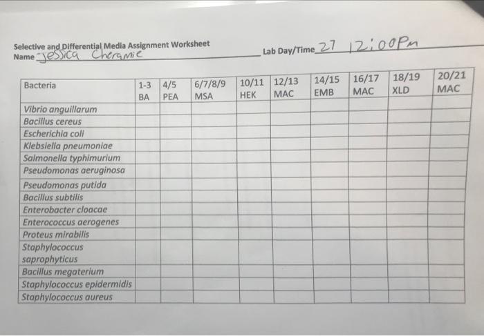 Selective and Differential Media Assignment Worksheet | Chegg.com