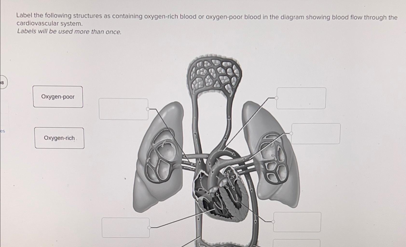 Solved Label the following structures as containing | Chegg.com