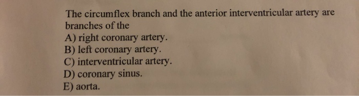 Solved The circumflex branch and the anterior | Chegg.com
