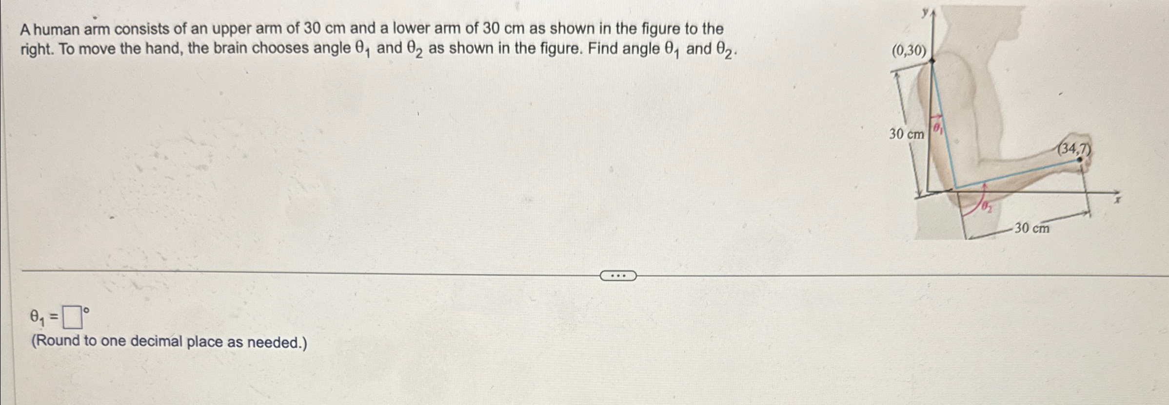 Solved A human arm consists of an upper arm of 30cm ﻿and a | Chegg.com