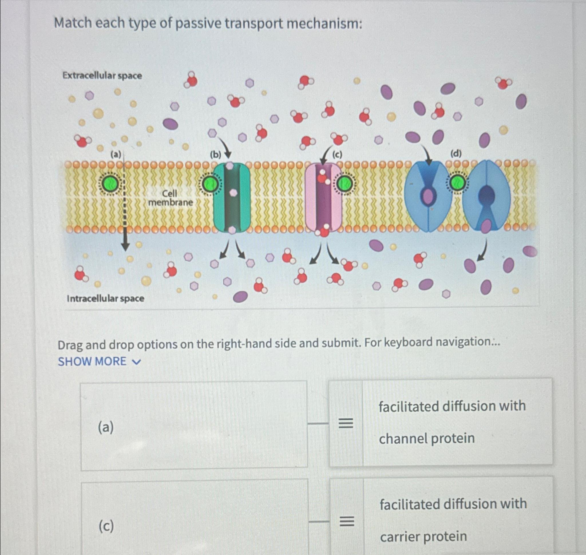 Solved Match each type of passive transport mechanism:Drag | Chegg.com