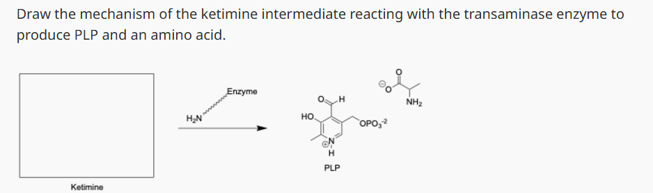 Solved Pyridoxamine phosphate (PMP) ﻿and pyridoxal phosphate | Chegg.com