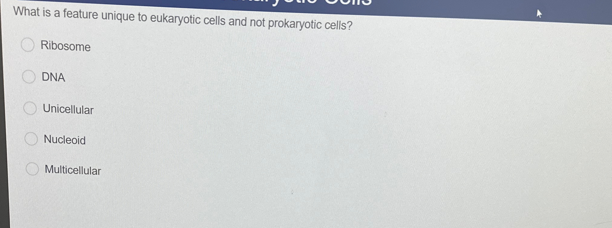 Solved What is a feature unique to eukaryotic cells and not | Chegg.com
