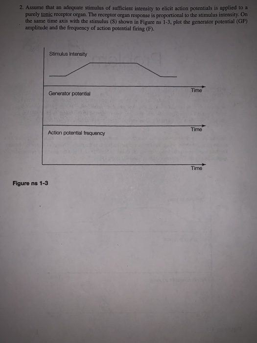 2. Assume that an adequate stimulus of sufficient | Chegg.com
