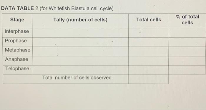 Figure 4. Whitefish blastula mitosis. DATA TABLE 2 | Chegg.com