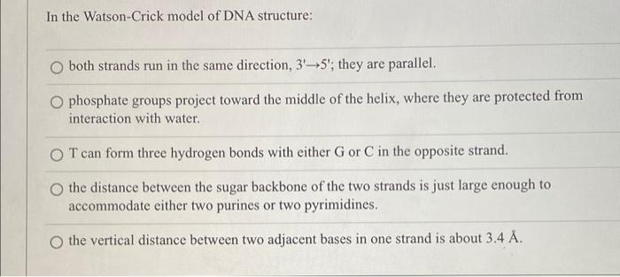 Solved In the Watson-Crick model of DNA structure: both | Chegg.com