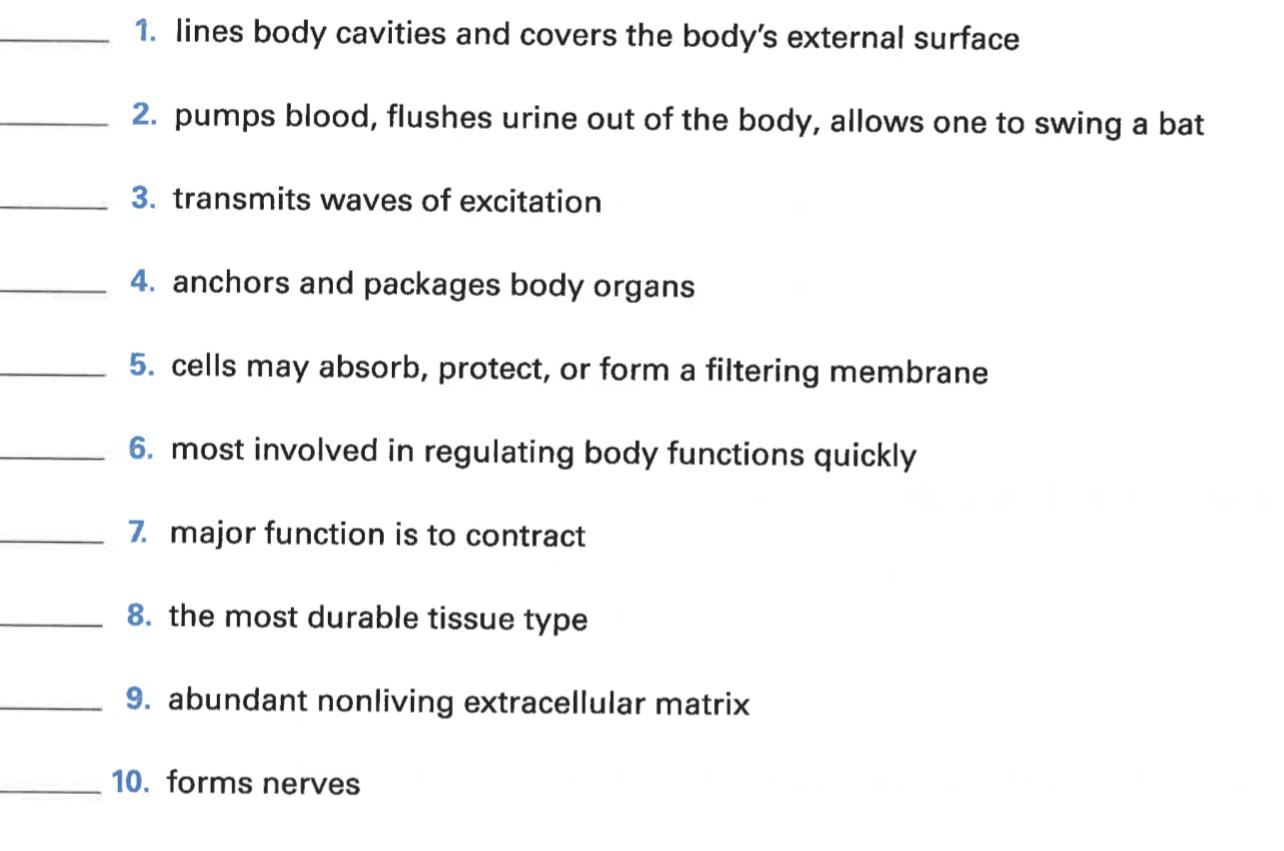 Solved lines body cavities and covers the body's external | Chegg.com