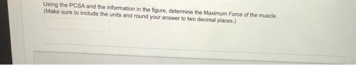 Solved 0 = 30° *cos PCSA= =? Max Muscle Force = ? FL= 2.5cm | Chegg.com