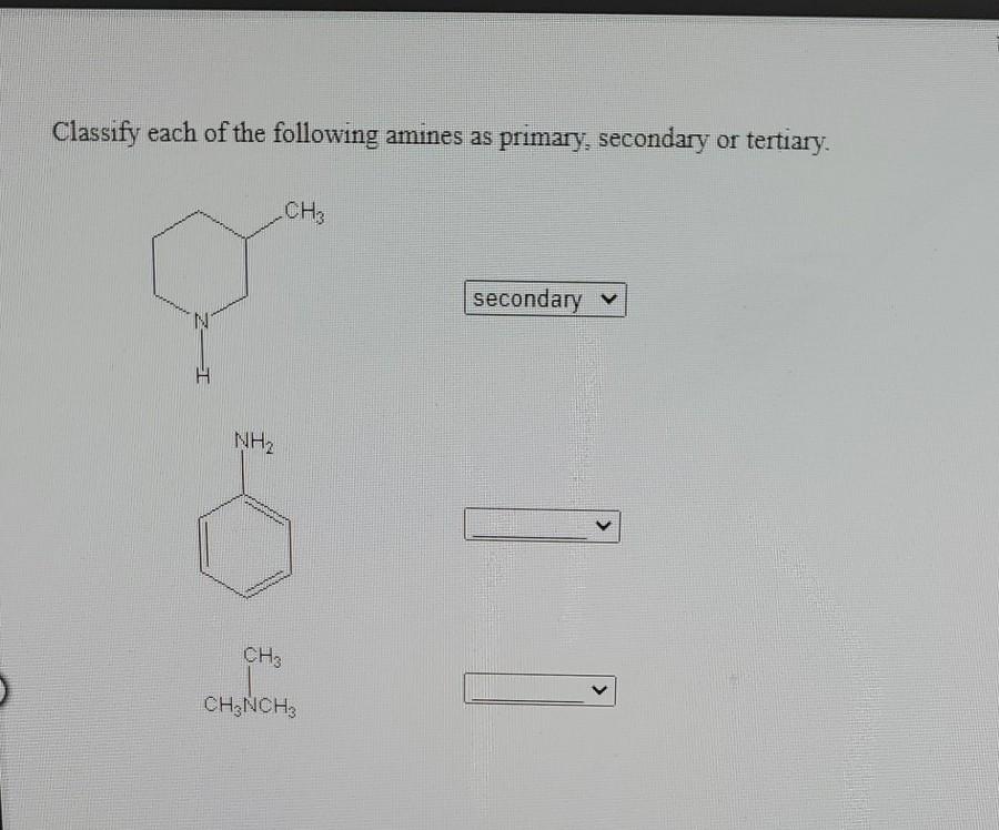Solved Classify each of the following amines as (1) primary, | Chegg.com