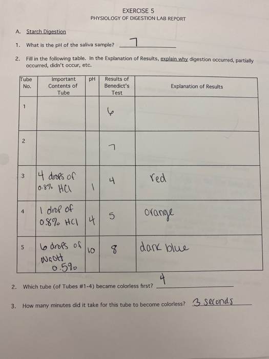 EXERCISE 5 PHYSIOLOGY OF DIGESTION LAB REPORT A. | Chegg.com