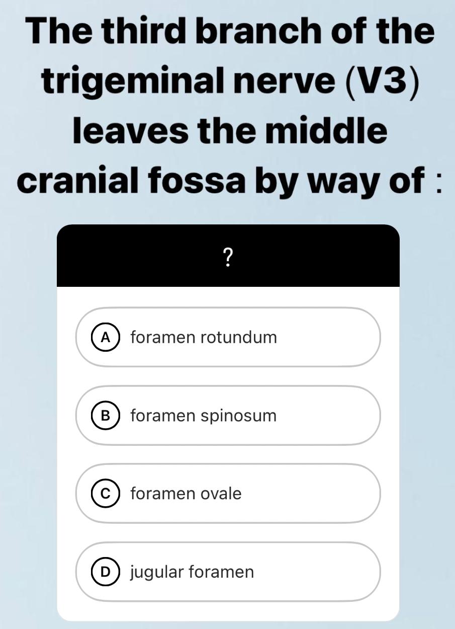 Solved The third branch of the trigeminal nerve (V3) ﻿leaves | Chegg.com