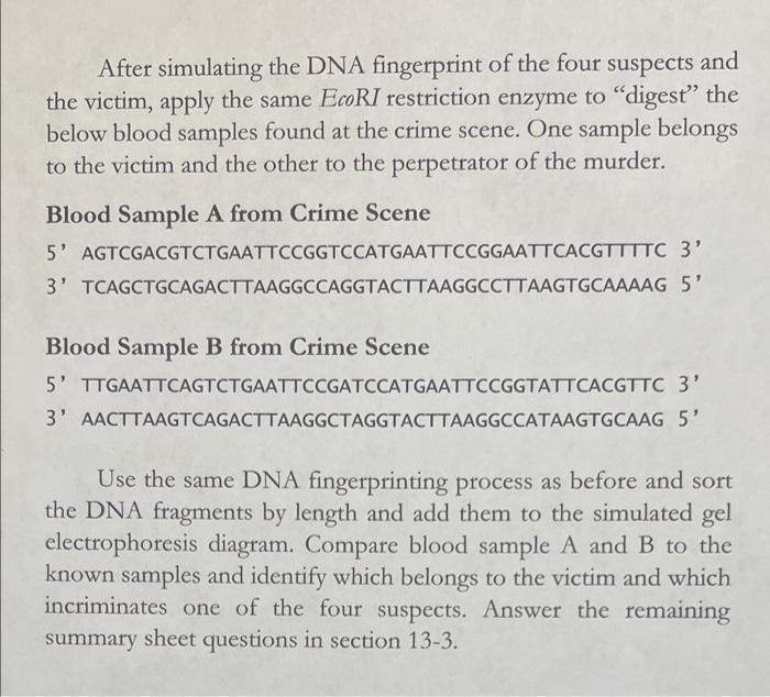 Solved Exercise 13-3: Who Dunnit? Follow the procedure of | Chegg.com