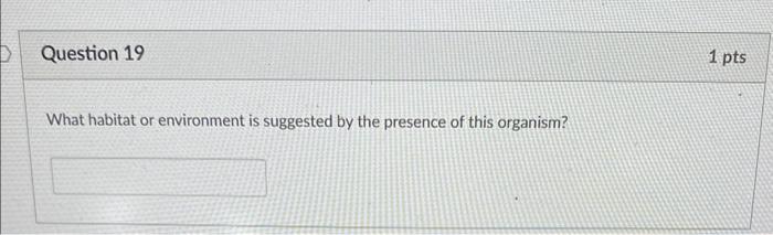 Solved Bryozoa ("moss animals") Ordovician to recent. | Chegg.com