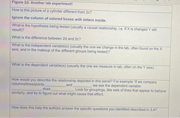 Figure 2d. Another lab experiment! How is this | Chegg.com
