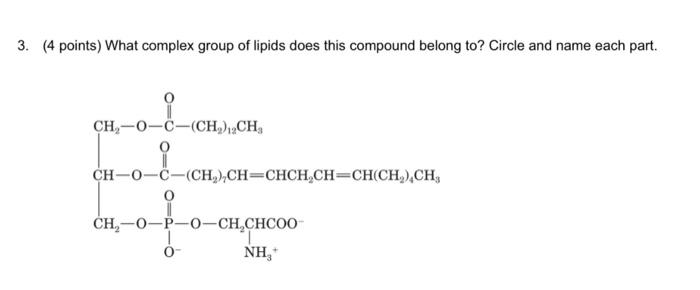 Solved 3. (4 points) What complex group of lipids does this | Chegg.com