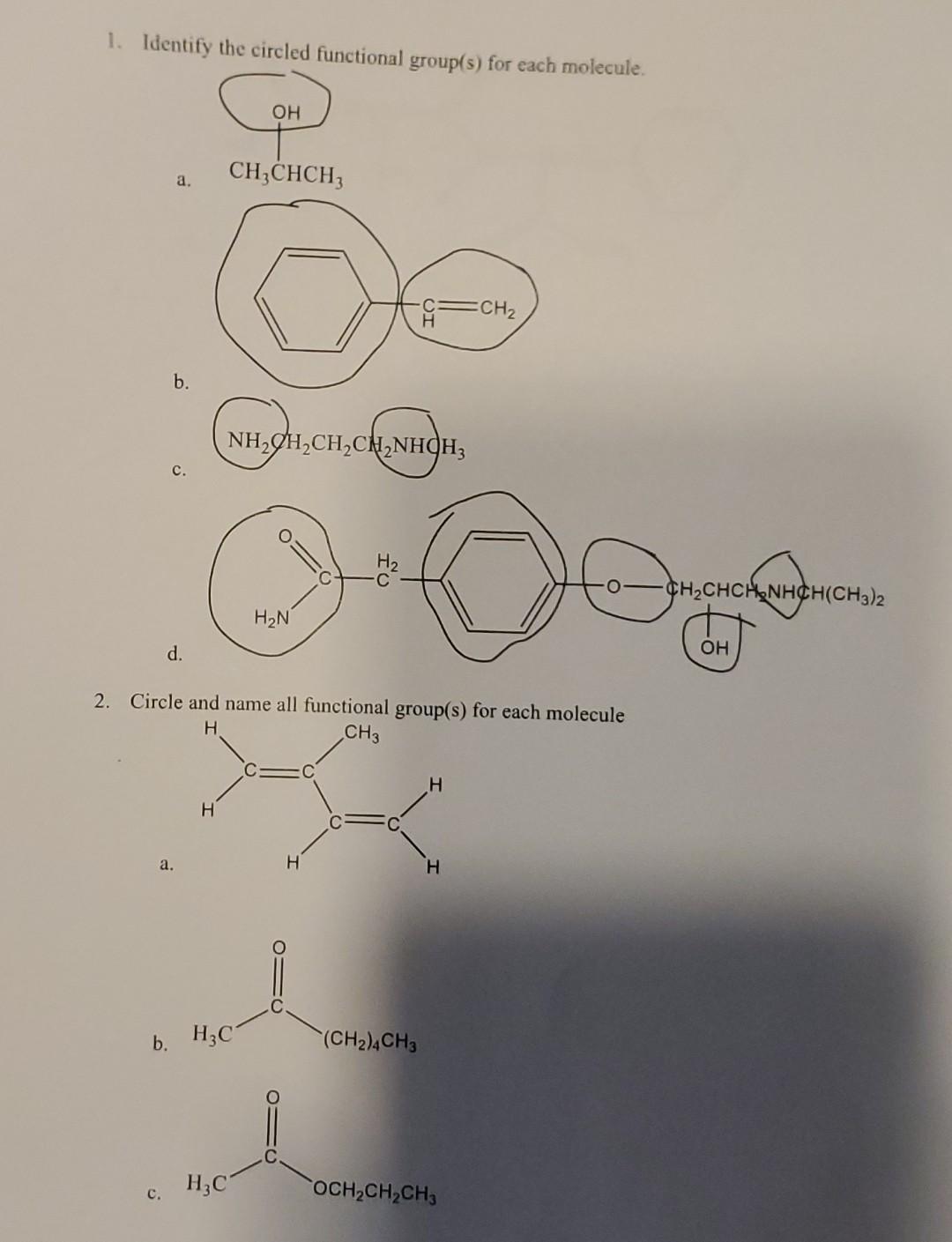 Solved 1. Identify the circled functional group(s) for each | Chegg.com