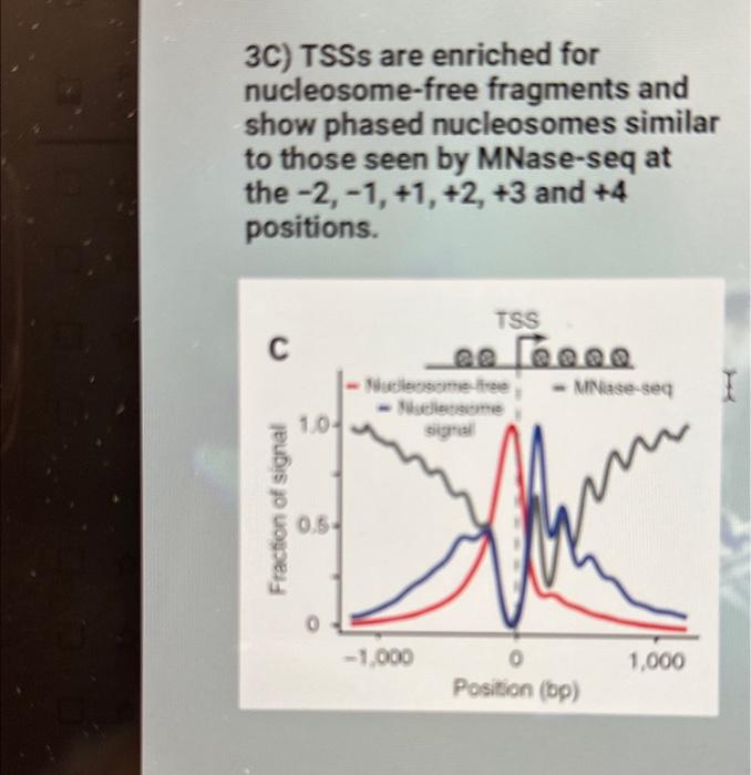 Solved 3C) TSSs are enriched for nucleosome-free fragments | Chegg.com