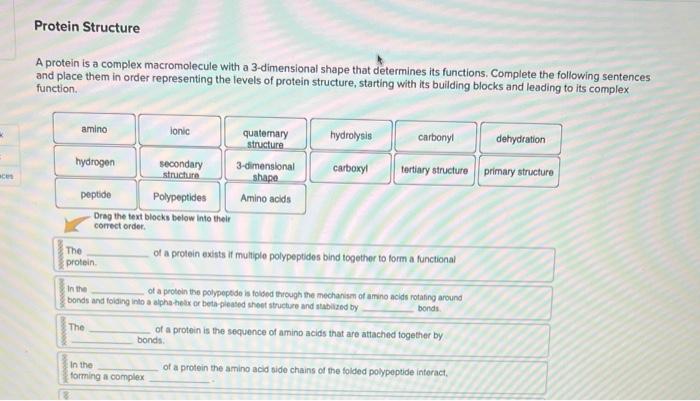 Solved A protein is a complex macromolecule with a | Chegg.com