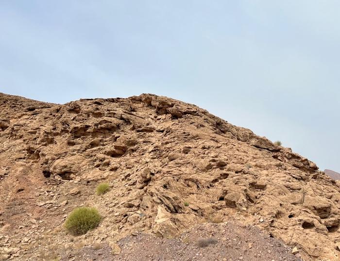 Solved what is the lithology and rock type of this picture? | Chegg.com