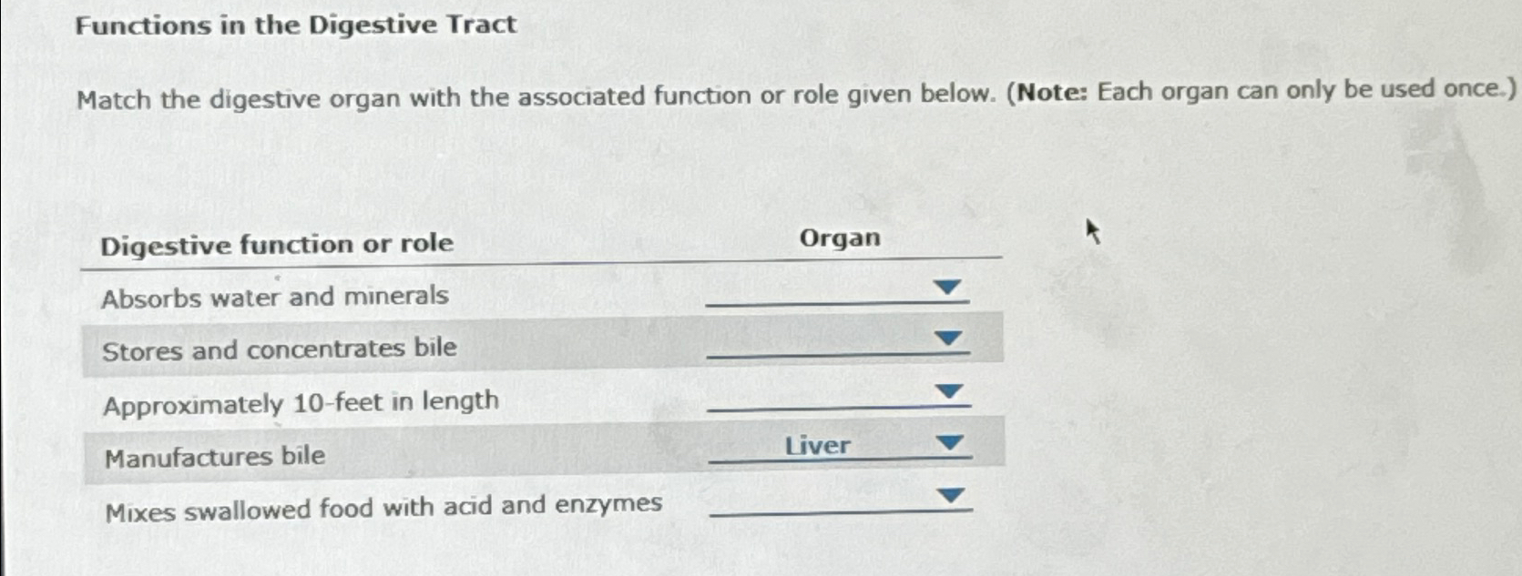 Solved Functions in the Digestive TractMatch the digestive | Chegg.com