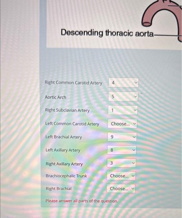 Solved Home My courses > BSC20B6L-APII F22 BSC | Chegg.com