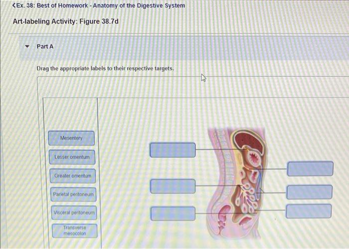 Solved Question | Chegg.com
