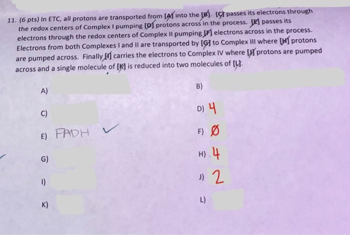 Solved the redox centers of Complex I pumping [P] protons | Chegg.com