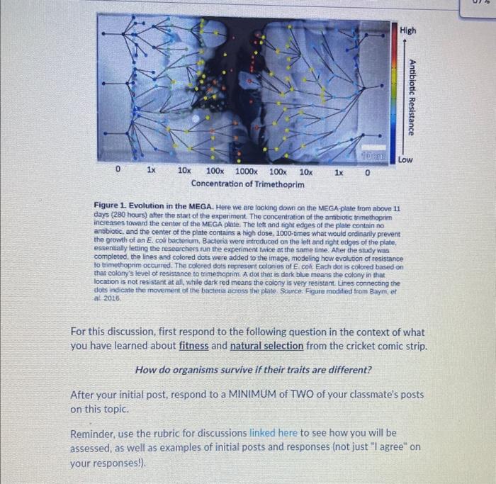Figure 1. Evolution in the MEGA. Here we are looking | Chegg.com