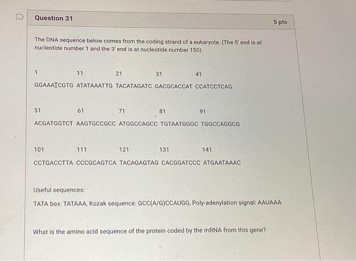 Solved The DNA sequence below comes from the coding strand | Chegg.com