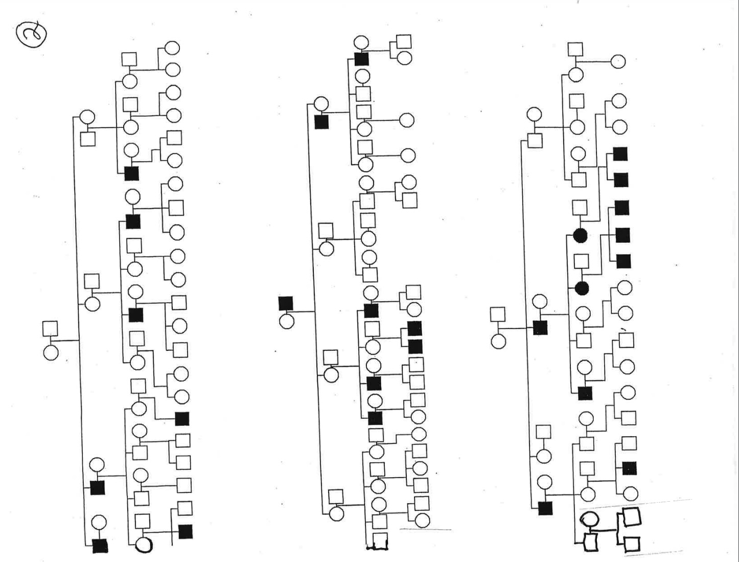 Solved by an EXPERT 1.) ﻿What is the mode of inheritance? 2.) ﻿Give two | Chegg.com