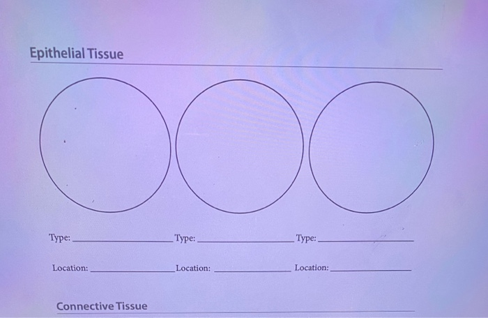 Solved Epithelial Tissue Type: Type: - Type: : Location: | Chegg.com