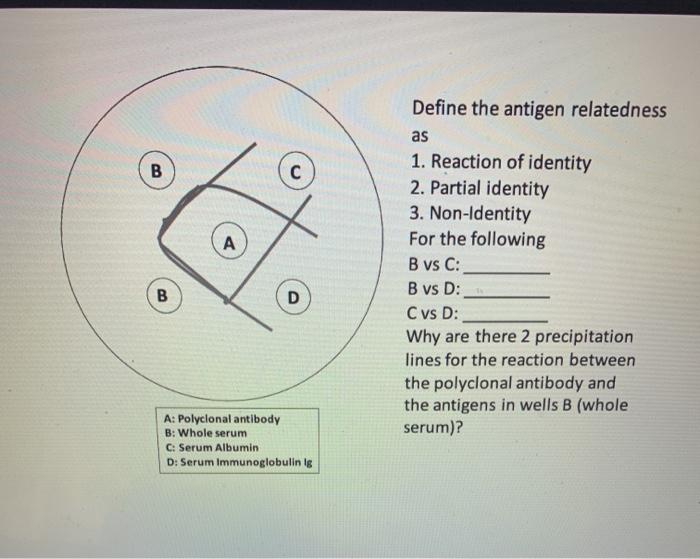 Solved B С А Define the antigen relatedness as 1. Reaction | Chegg.com