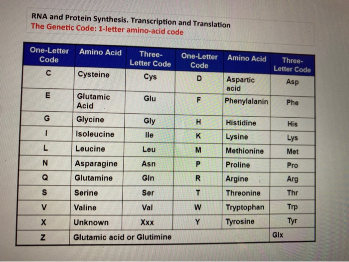 Solved Part 1 Assignment-3: Transcribe and Translate. | Chegg.com