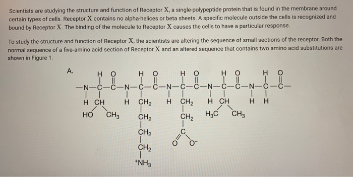 Solved Scientists are studying the structure and function of | Chegg.com