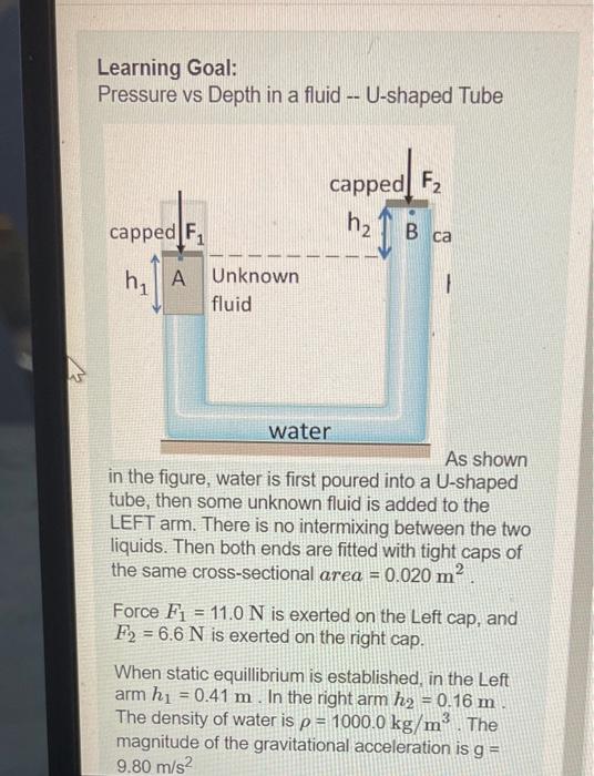 Learning Goal: Pressure vs Depth in a fluid - | Chegg.com