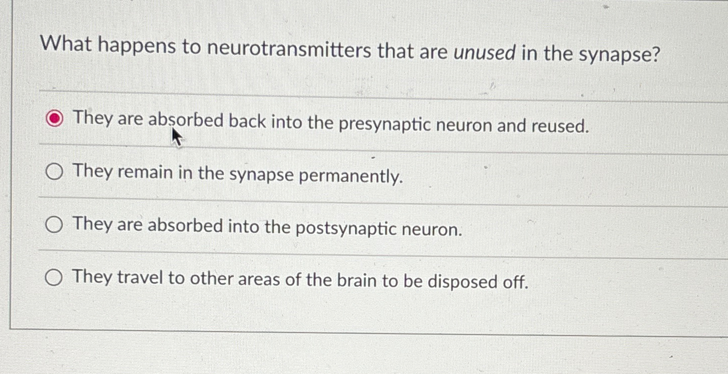 Solved What happens to neurotransmitters that are unused in | Chegg.com