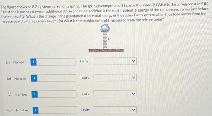 Solved The figure shows an 8.2 kg stone atrest on a spring. | Chegg.com