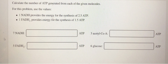 Solved Calculate the number of ATP generated from each of | Chegg.com